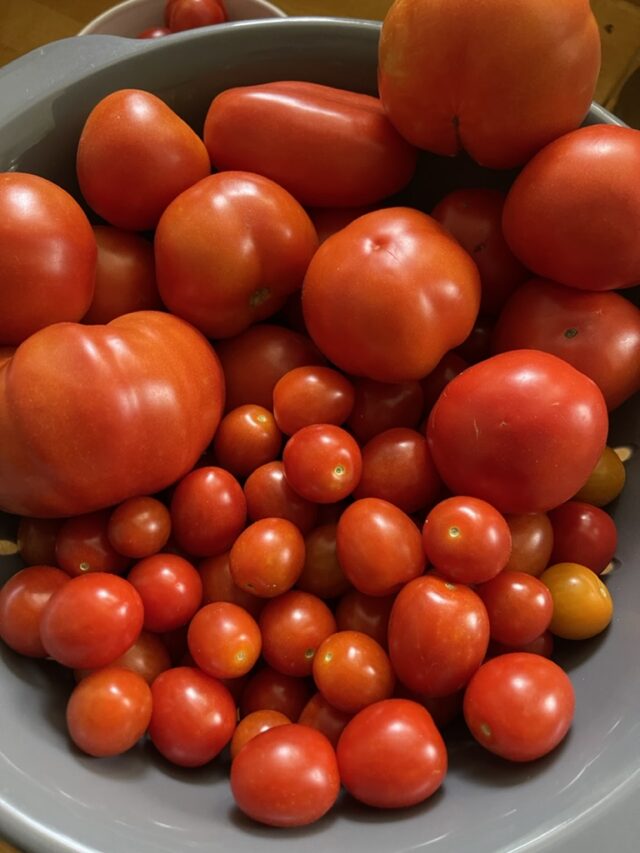 A Great Roasted Tomato Sauce - Feet Under My Table